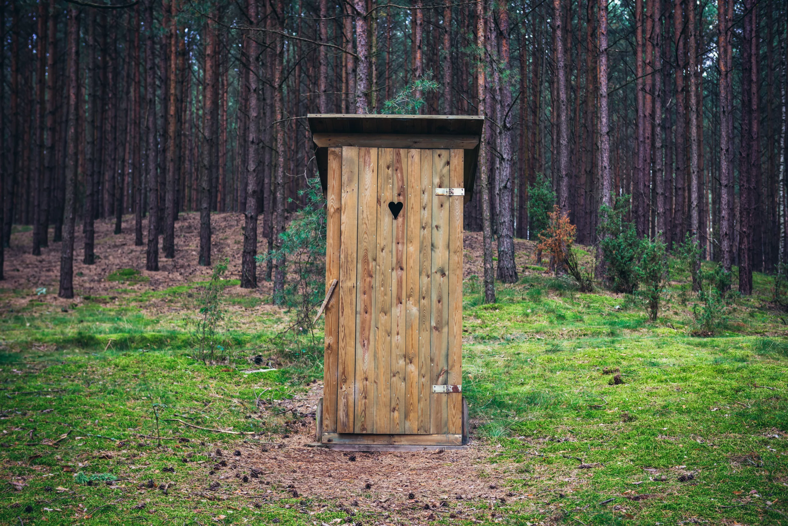 A Guide to Using the Restroom in the Great Outdoors